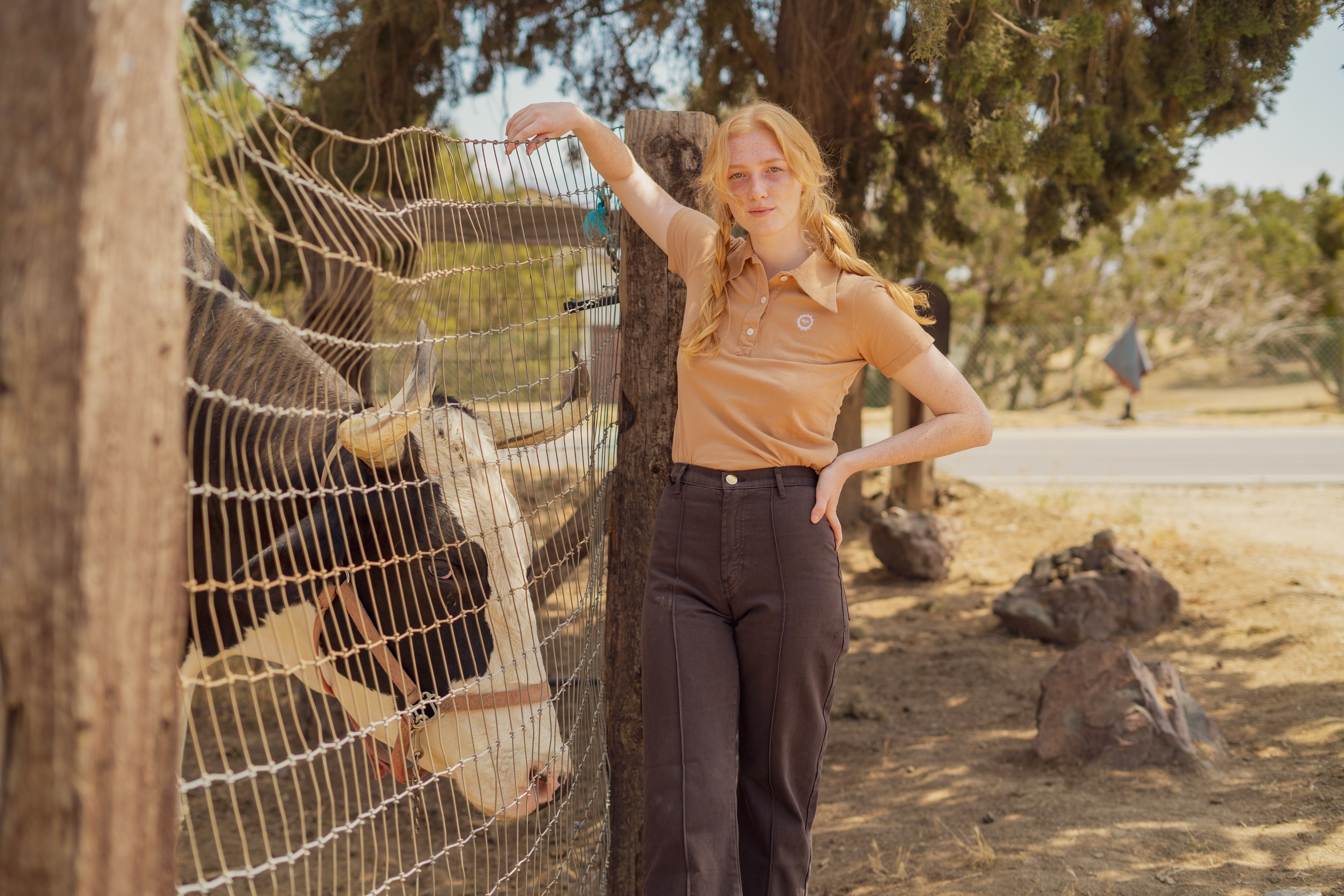 Making Friends 🐄 – BIG BUD PRESS