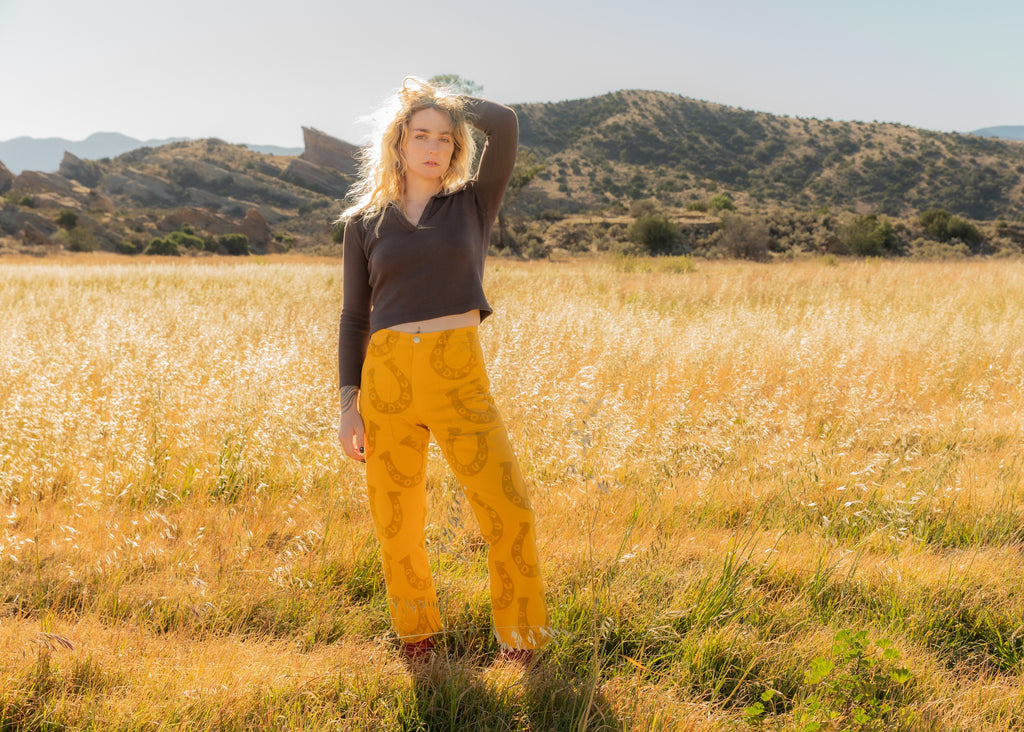 Lucky Horseshoes – BIG BUD PRESS